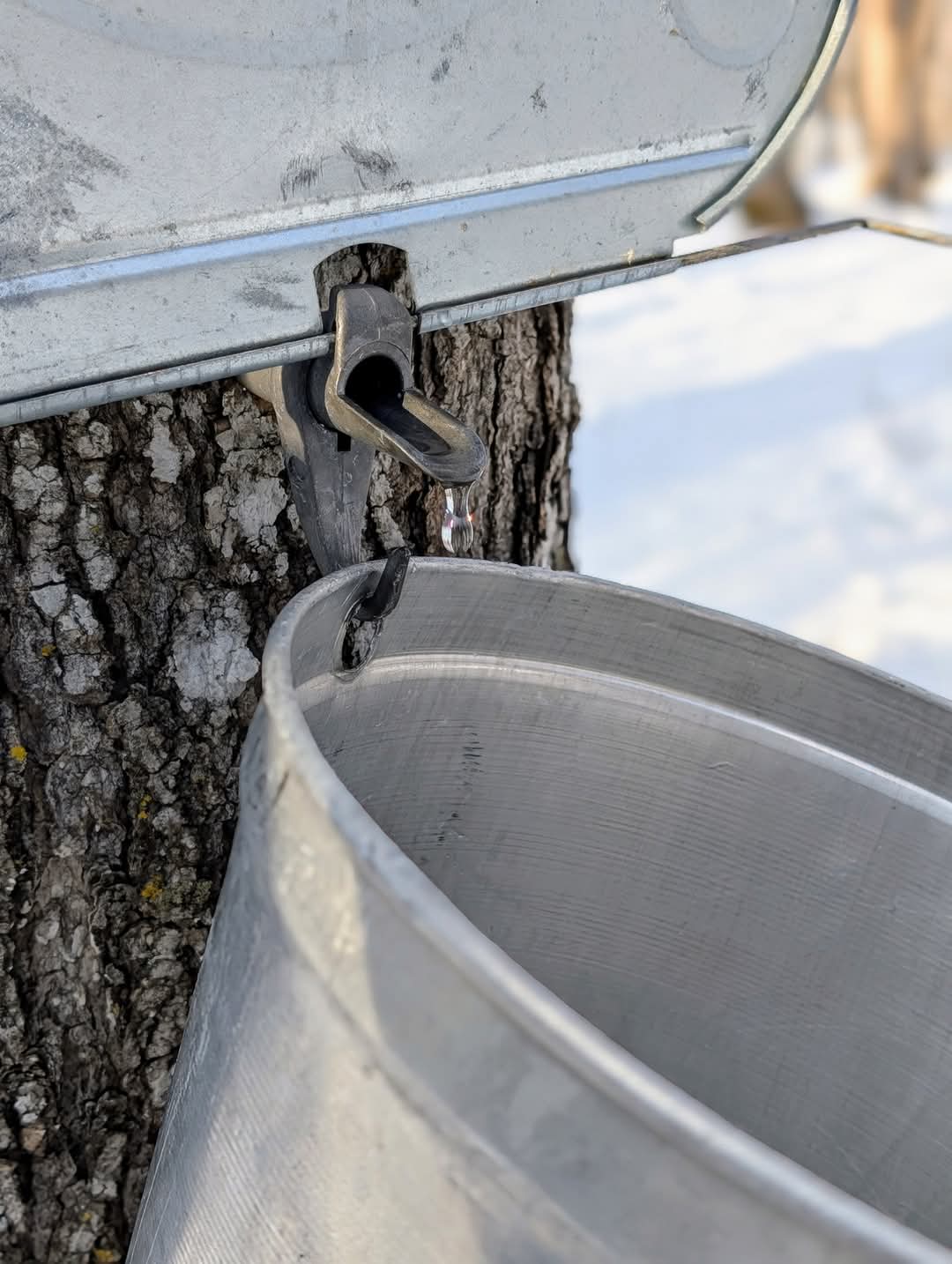 Drip - Imagine Outdoors